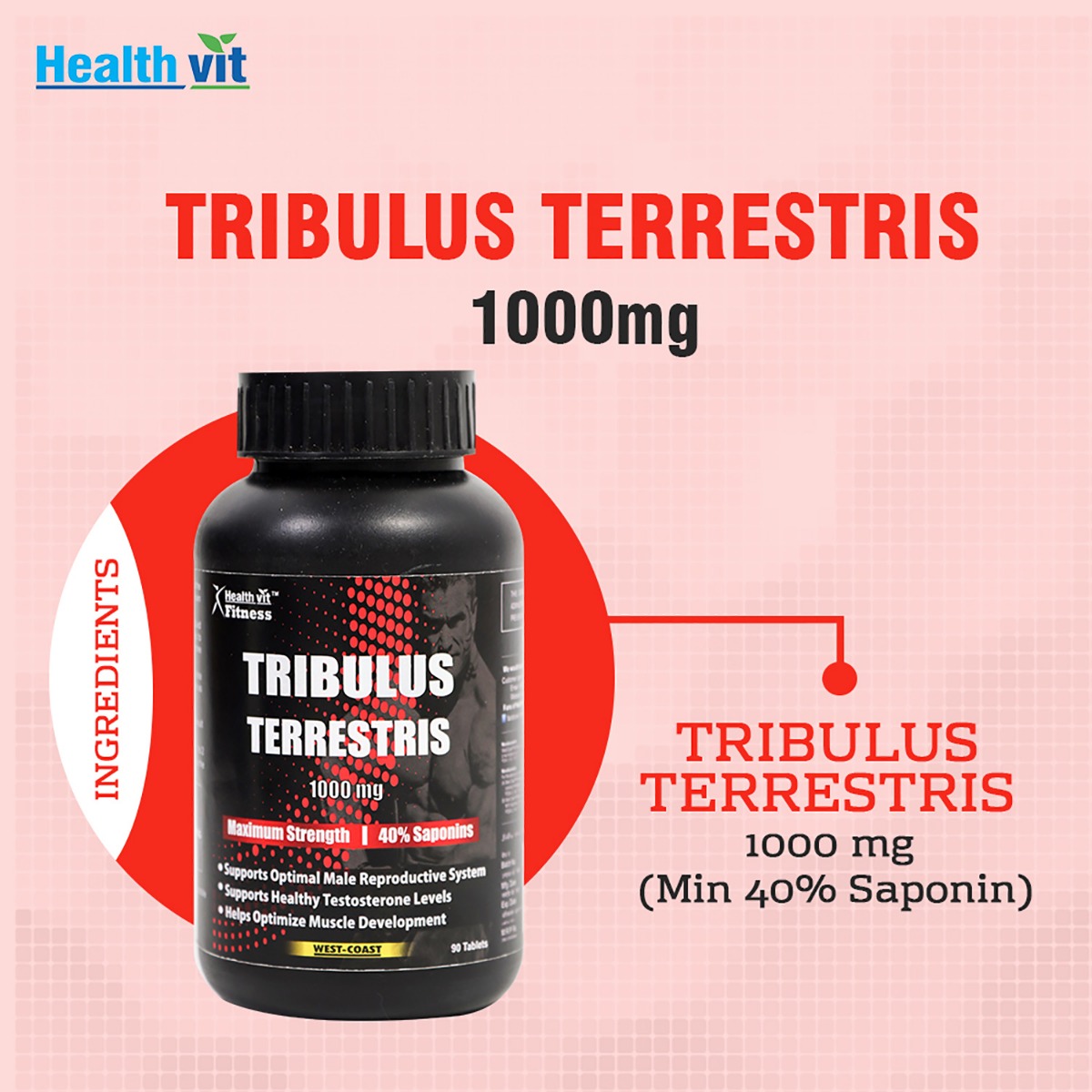 Healthvit Fitness Tribulus Terrestris 1000 mg Maximum Strength 40% ...