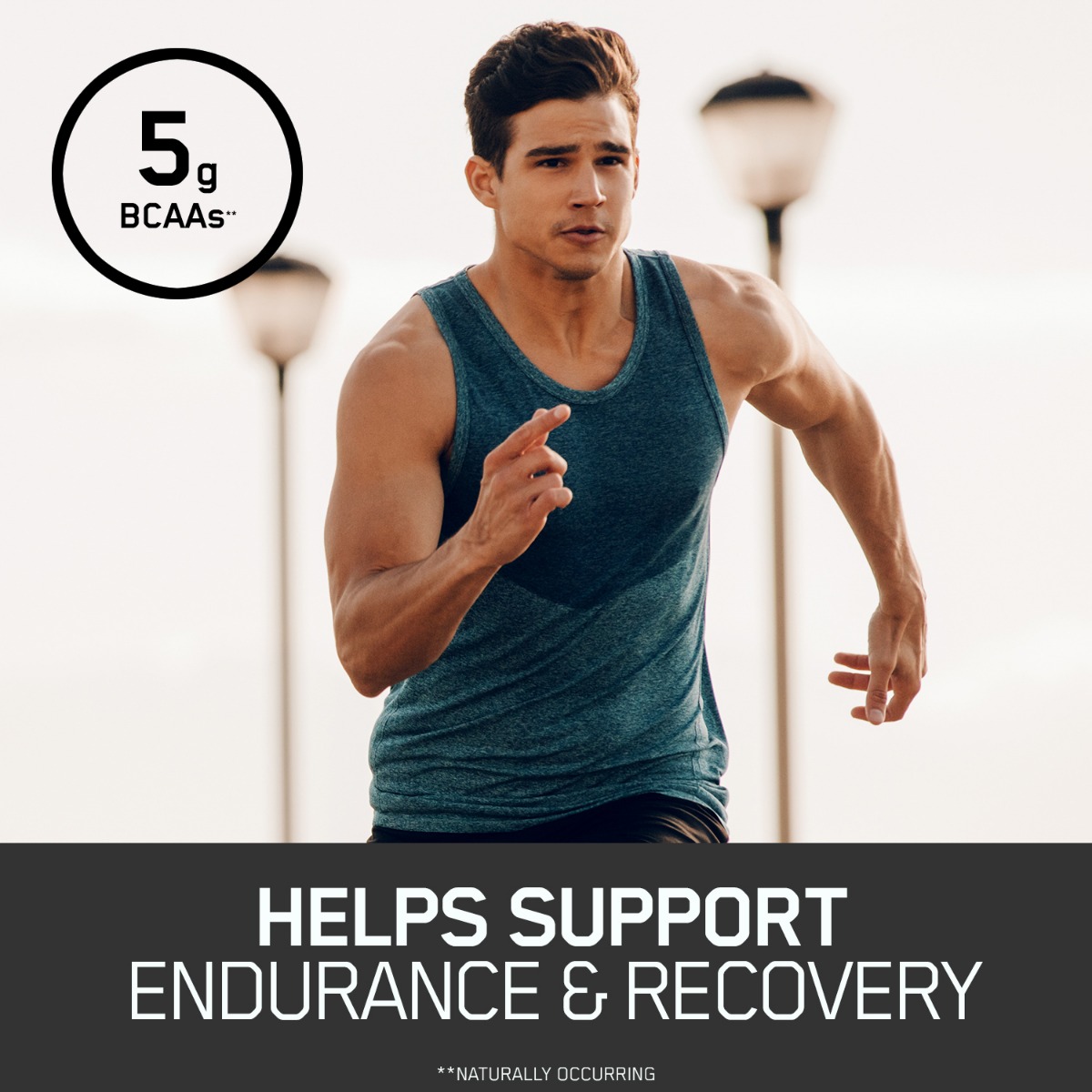 Optimum Nutrition (ON) Performance Whey Protein Chocolate Milkshake ...